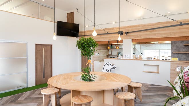 三豊のトキワ荘を目指すレンタルスペース!Wifi完備 / パーティー / 婚活 / マルシェ / セミナー利用可の写真1