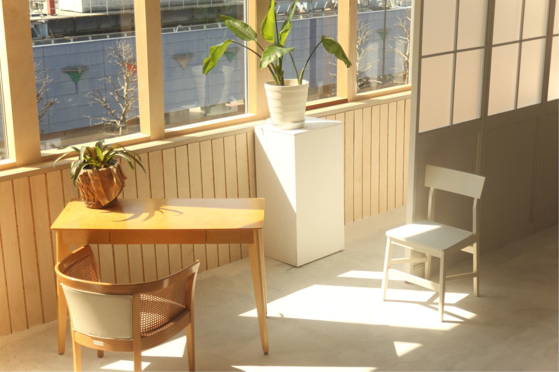 水道橋徒歩1分/自然光【限定格安プランあり】直射光の差し込むサンルーム/様々な背景、壁を撮影可/ビュースタジオの写真17