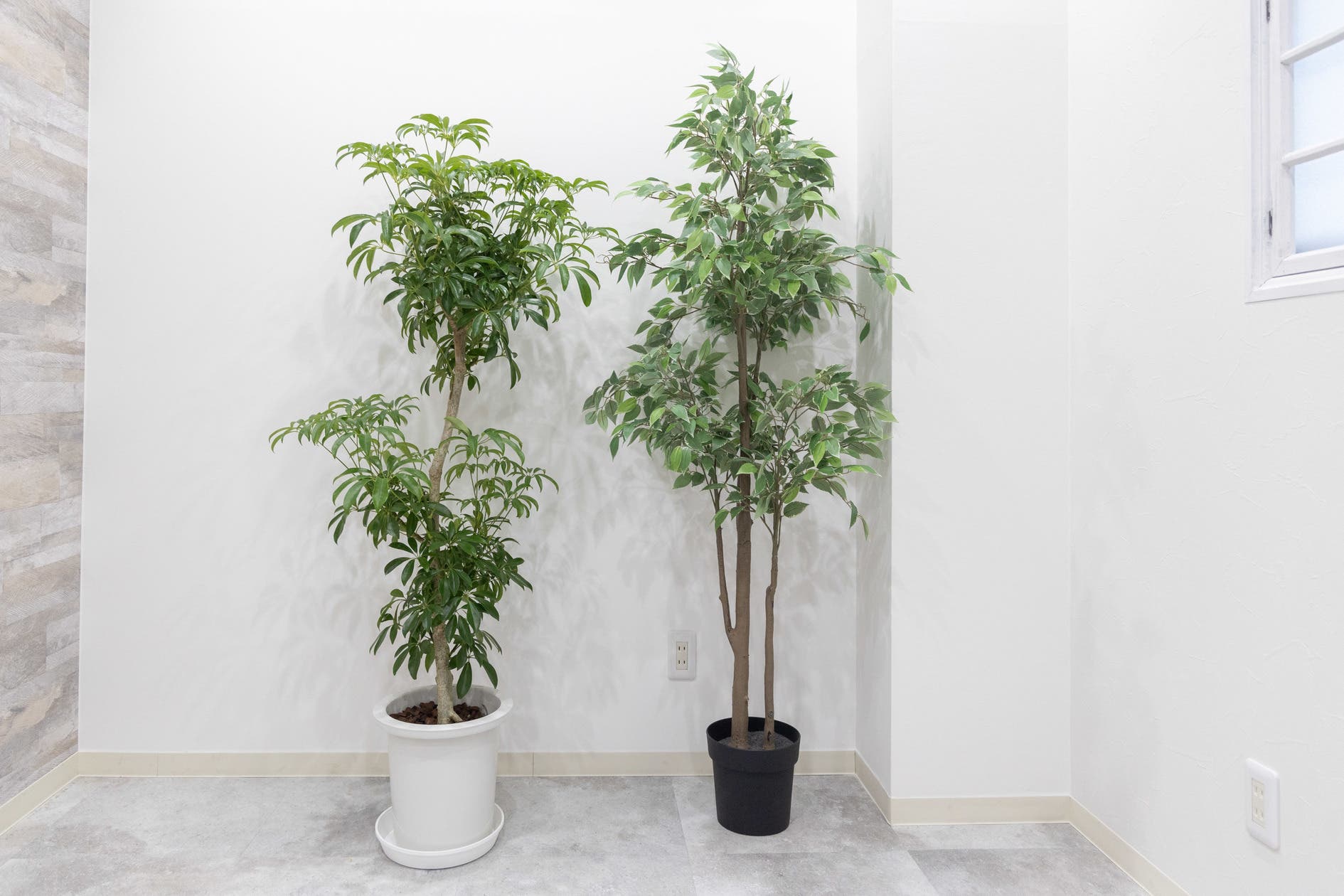 【完全個室】24時間利用可能!!撮影スタジオ!駅から徒歩2分の写真19