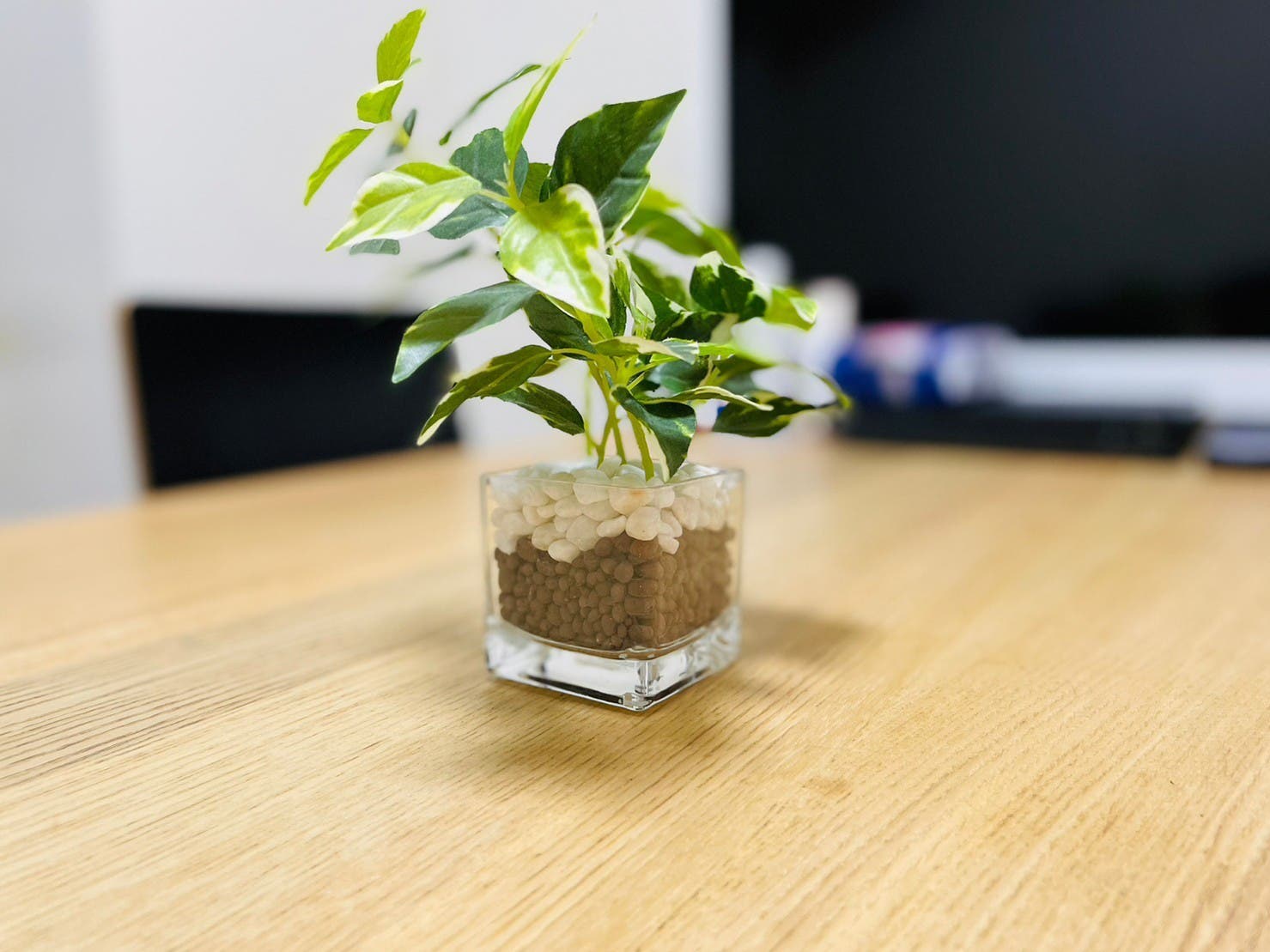 【ゴミ捨て無料】新宿三丁目駅徒歩30秒🚃24時間365日営業🏪ゲーム沢山👾グリーンチャンネル🐎BS・CS・地デジ、DVD, BDの写真23