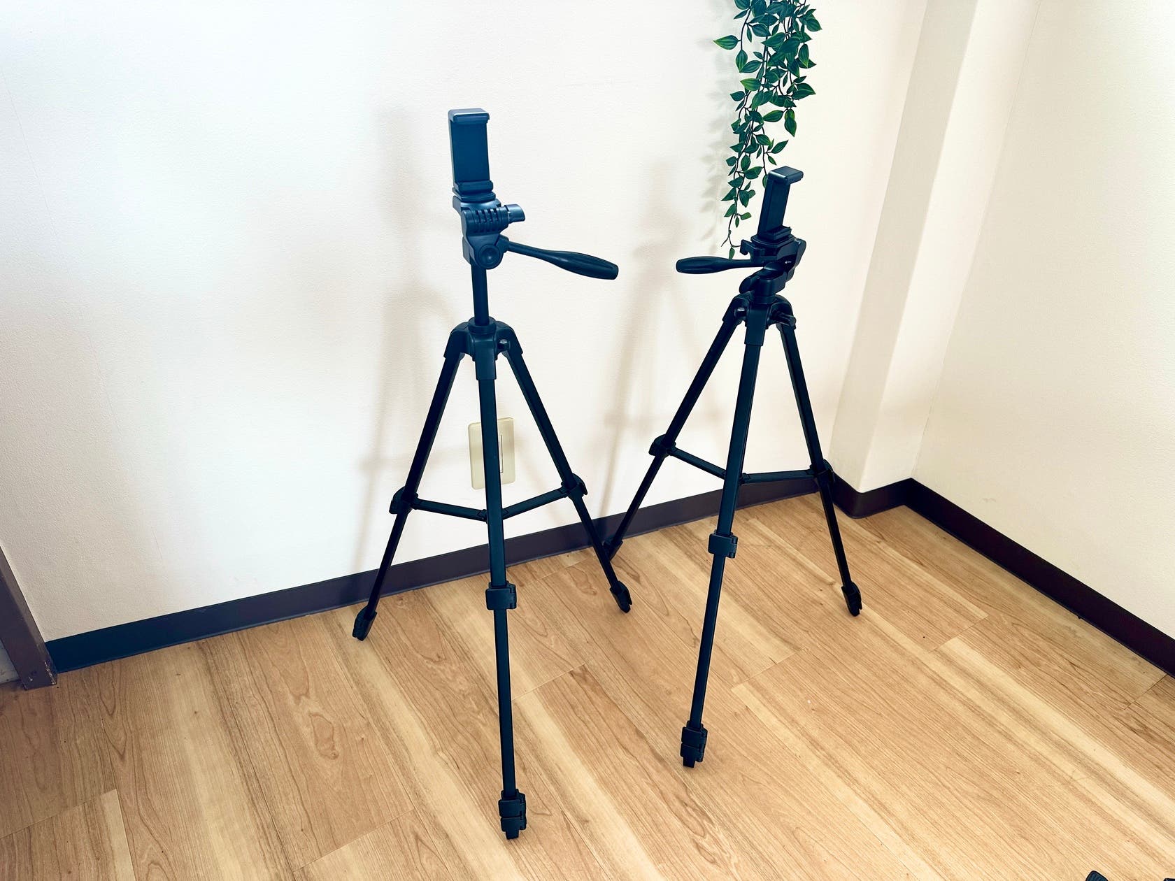 【公式予約】コソ練専用！貸切スタジオ！ダンス・フィットネスにピッタリ💪備品オプションぜんぶ無料✨｜光回線Wi-Fi｜の写真7