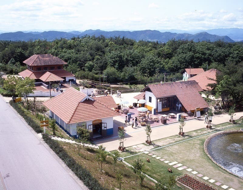 野外民族博物館リトルワールド　【12月～2月限定】の写真5