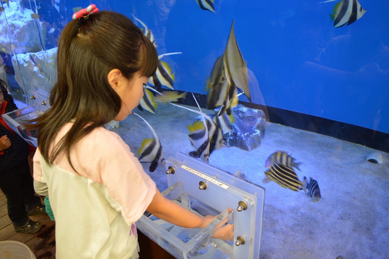 南知多ビーチランド&南知多おもちゃ王国　【12月～2月限定】の写真3