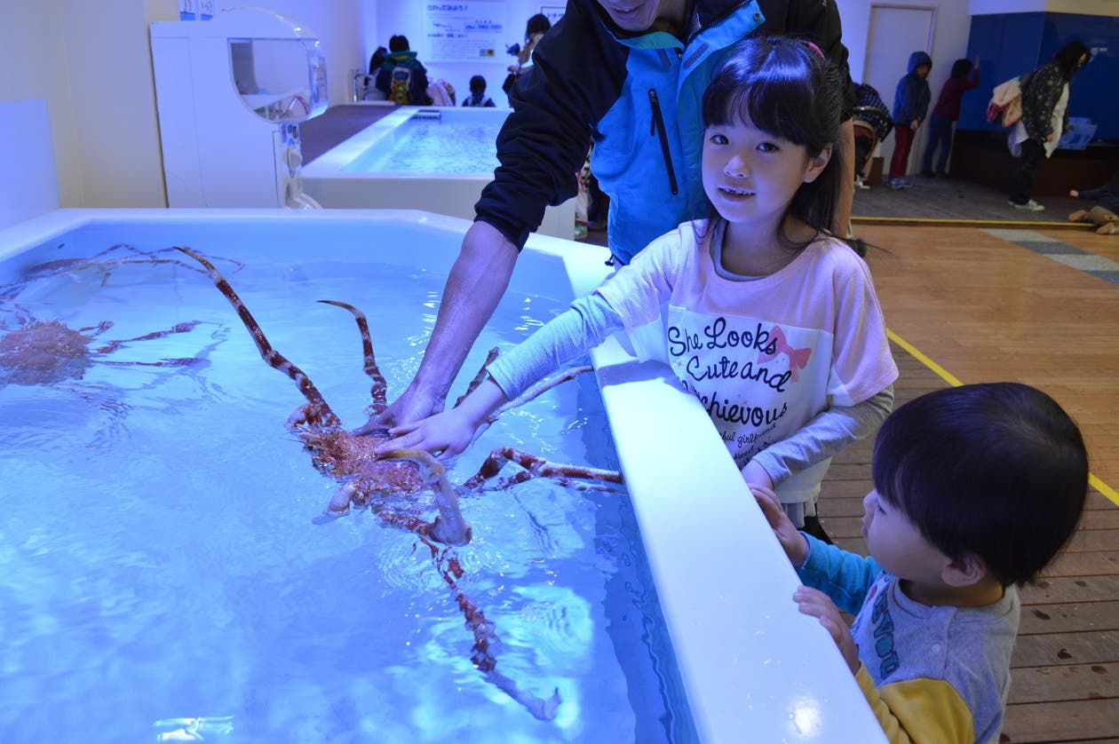 南知多ビーチランド&南知多おもちゃ王国　【12月～2月限定】の写真4