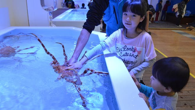 南知多ビーチランド&南知多おもちゃ王国 【12月~2月限定】の写真4