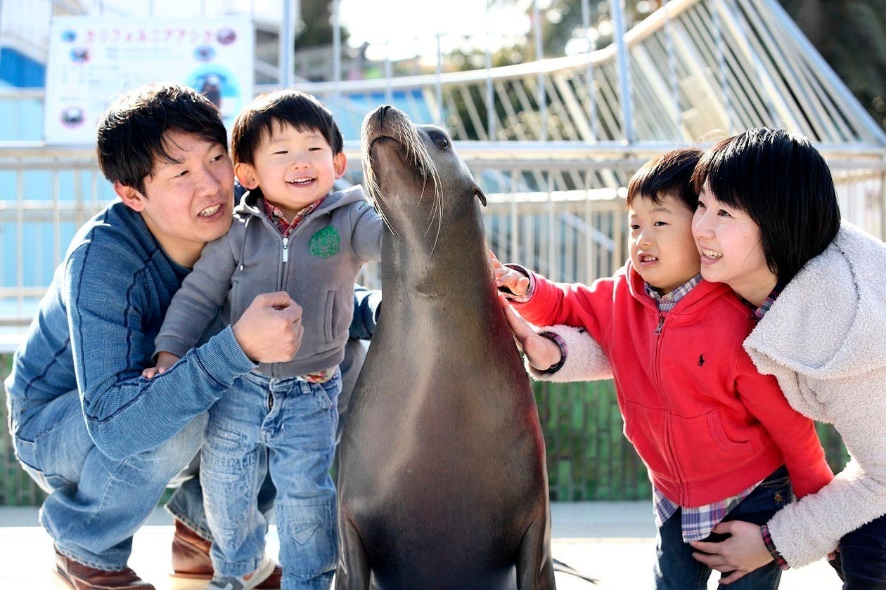 南知多ビーチランド&南知多おもちゃ王国　【12月～2月限定】の写真5