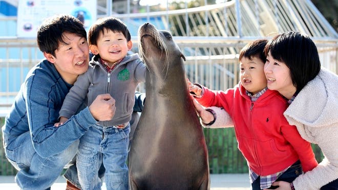 南知多ビーチランド&南知多おもちゃ王国 【12月~2月限定】の写真5