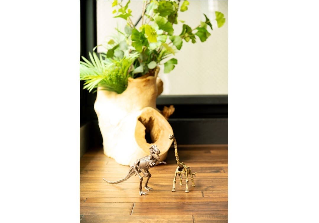 ✨大阪✨圧倒的な存在感✨吹き抜け空間が魅力✨ガレージハウス✨ガラス張り✨車・バイクの撮影等✨かっこいい✨ロフト有りの写真27