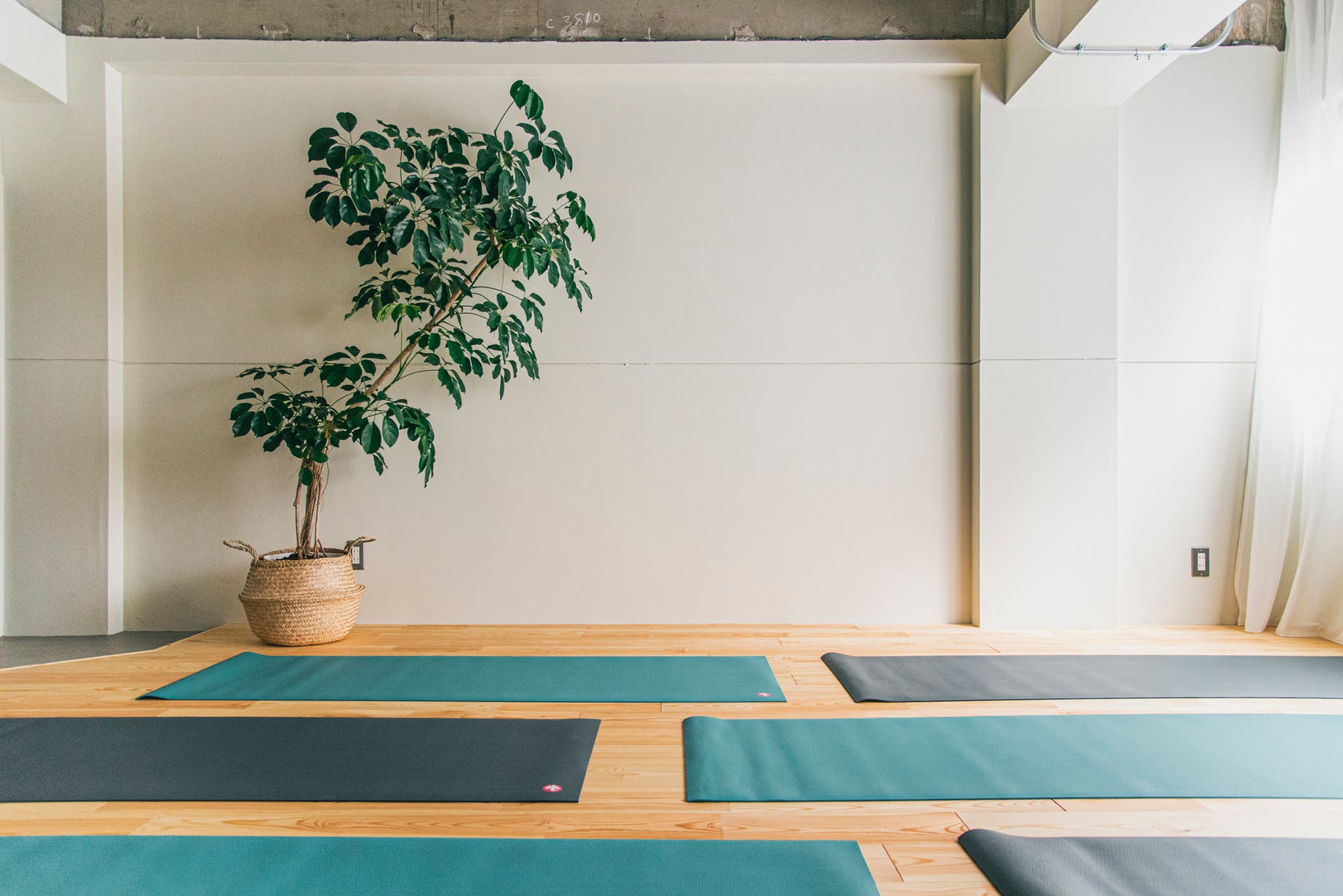 【神保町徒歩4分】優しい天然木の床に、グレイッシュホワイトの壁。自然素材に囲まれた心地よい空間でヨガのレッスンを開催しませんか？の写真3