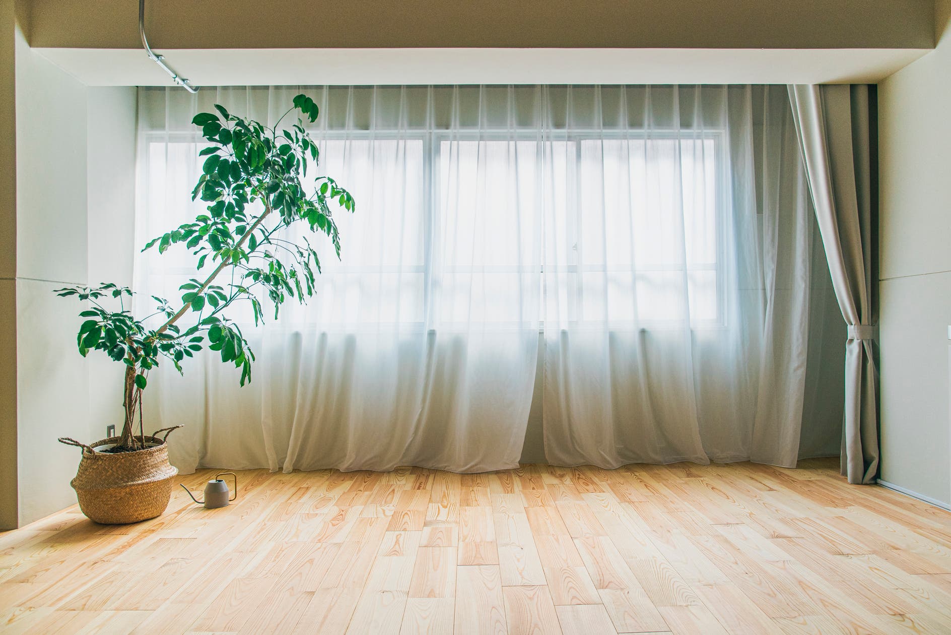 【神保町徒歩4分】優しい天然木の床に、グレイッシュホワイトの壁。自然素材に囲まれた心地よい空間でヨガのレッスンを開催しませんか？の写真1