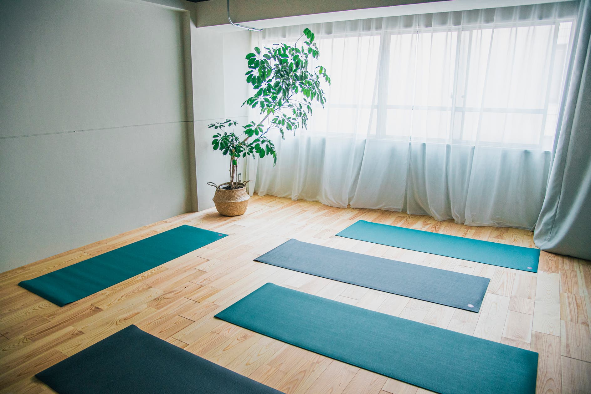 【神保町徒歩4分】優しい天然木の床に、グレイッシュホワイトの壁。自然素材に囲まれた心地よい空間でヨガのレッスンを開催しませんか？の写真4