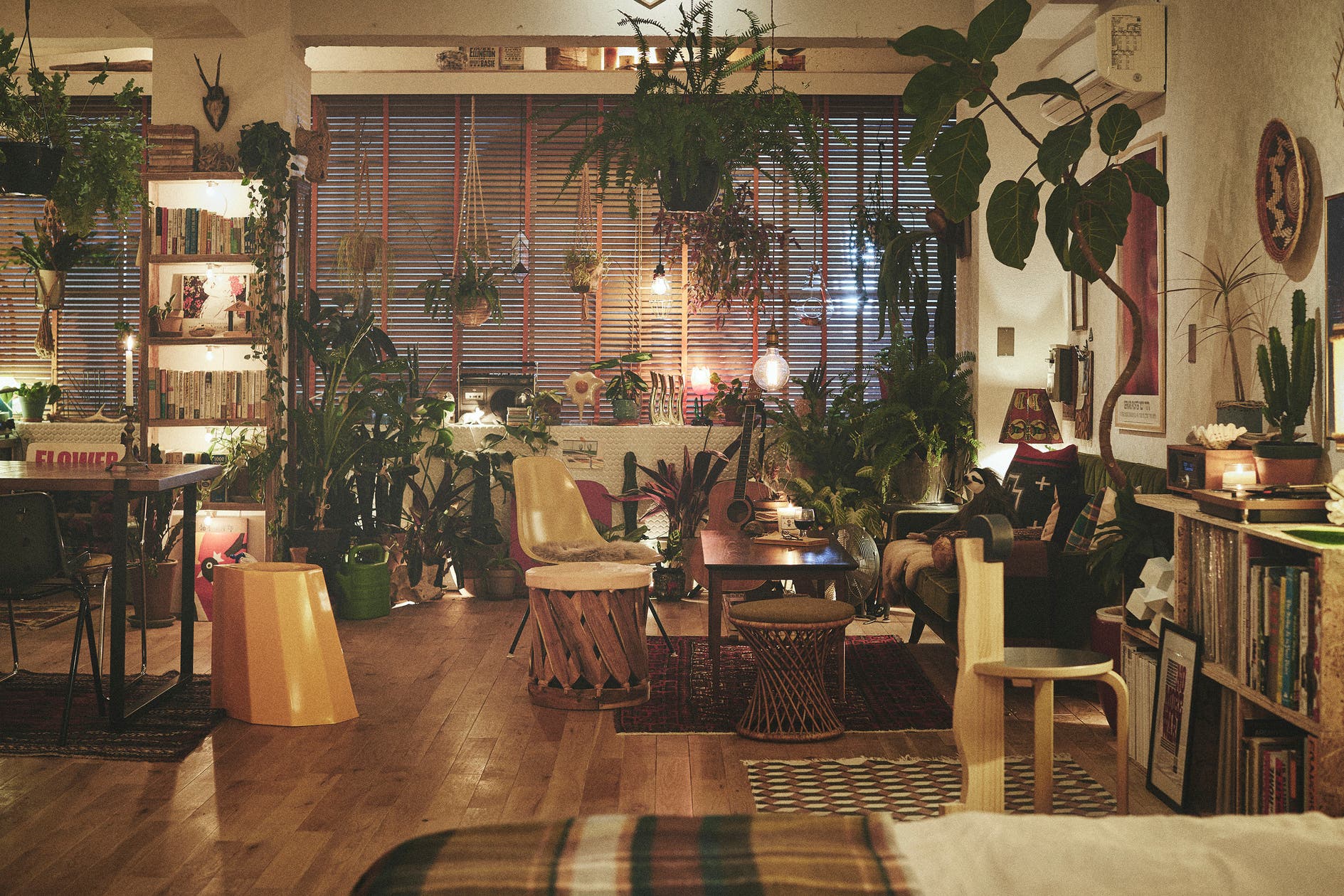 実際に人が住んでいるかのような生活感を、圧巻の植物たちが包み込むハウススタジオの写真20