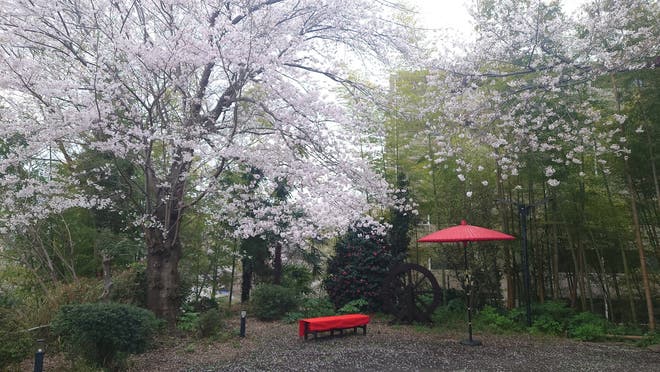 【相模原市】上溝駅徒歩7分。一軒家マルチスペース。Switch2無料。多彩な部屋と広い庭のある隠れ家的寛ぎ空間。駐車無料。の写真23