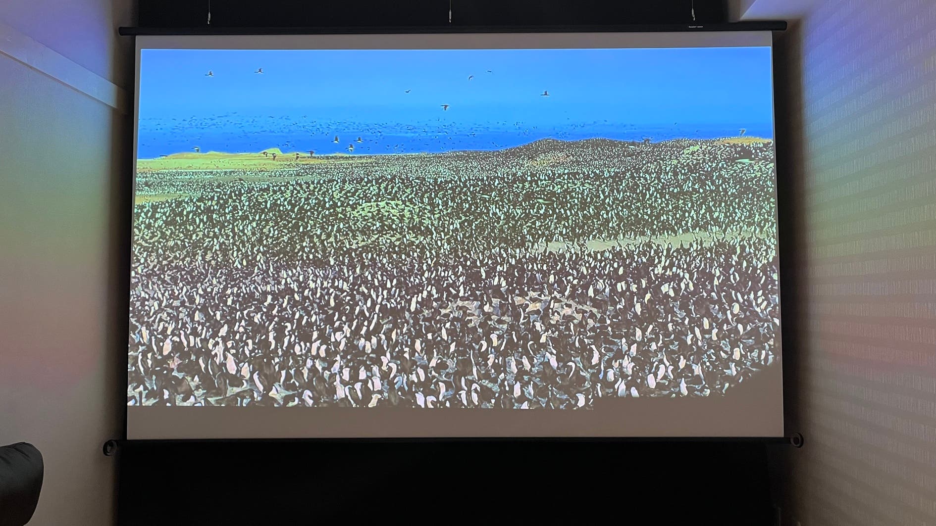 🎉NEW特割🎉【元住吉駅1分】大画面100inch🎬リクライニング💺デート💑ネトフリ・ゲーム・パーティー🎉学割🏫商店街🛍の写真6