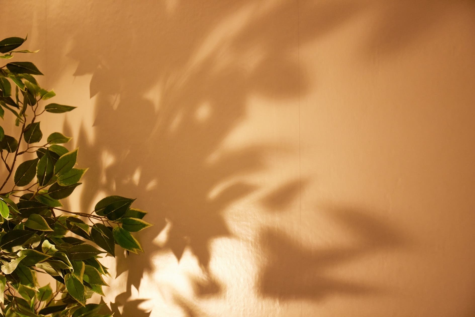 🐬⛄冬休み先取り半額キャンペーン🎄✨タコパ・鍋パ歓迎【Blue大宮】の写真9