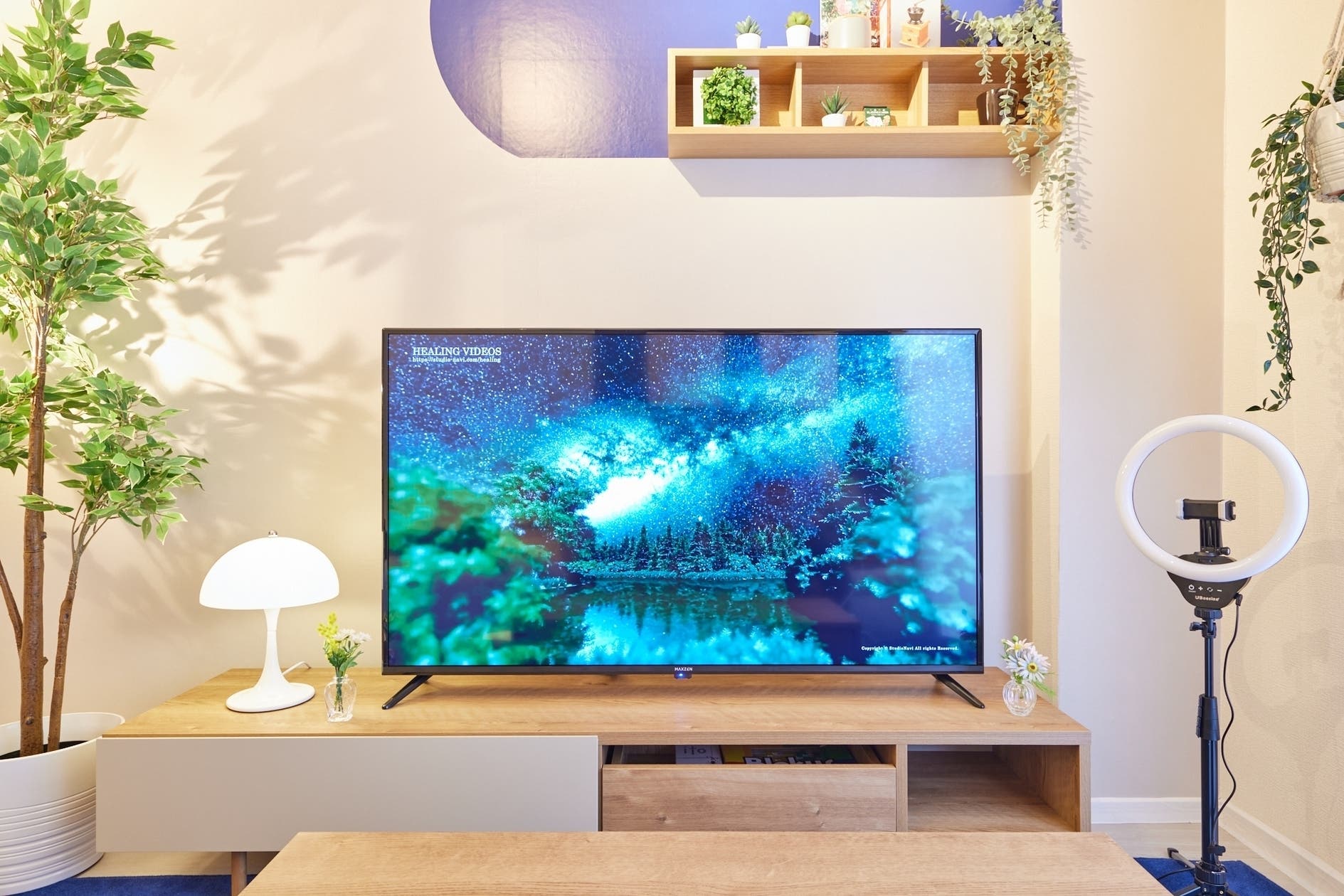 🐬⛄冬休み先取り半額キャンペーン🎄✨タコパ・鍋パ歓迎【Blue大宮】の写真19