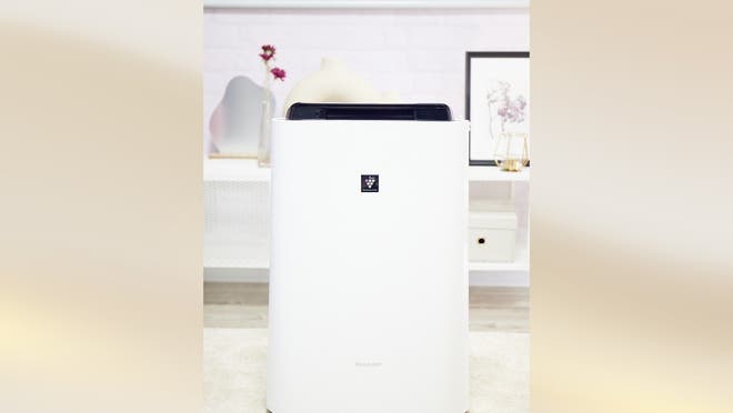 🐬⛄冬休み先取り半額キャンペーン🎄✨タコパ・鍋パ歓迎【Blue大宮】の写真24