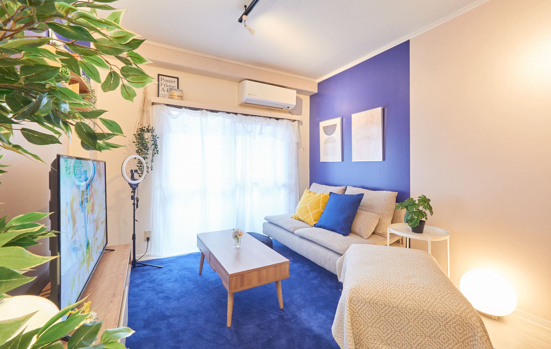 🐬⛄冬休み先取り半額キャンペーン🎄✨タコパ・鍋パ歓迎【Blue大宮】の写真8