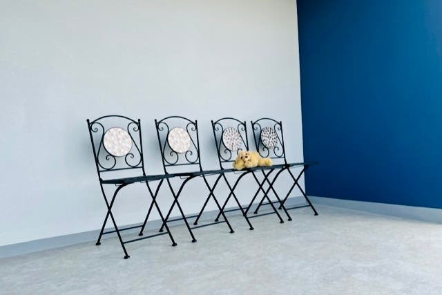 【広々と使えるアットホームなキッチン付きスペース】阪急西宮北口駅徒歩5分！WiFi完備！〈各種教室、女子会、ビジネスにも〉の写真13