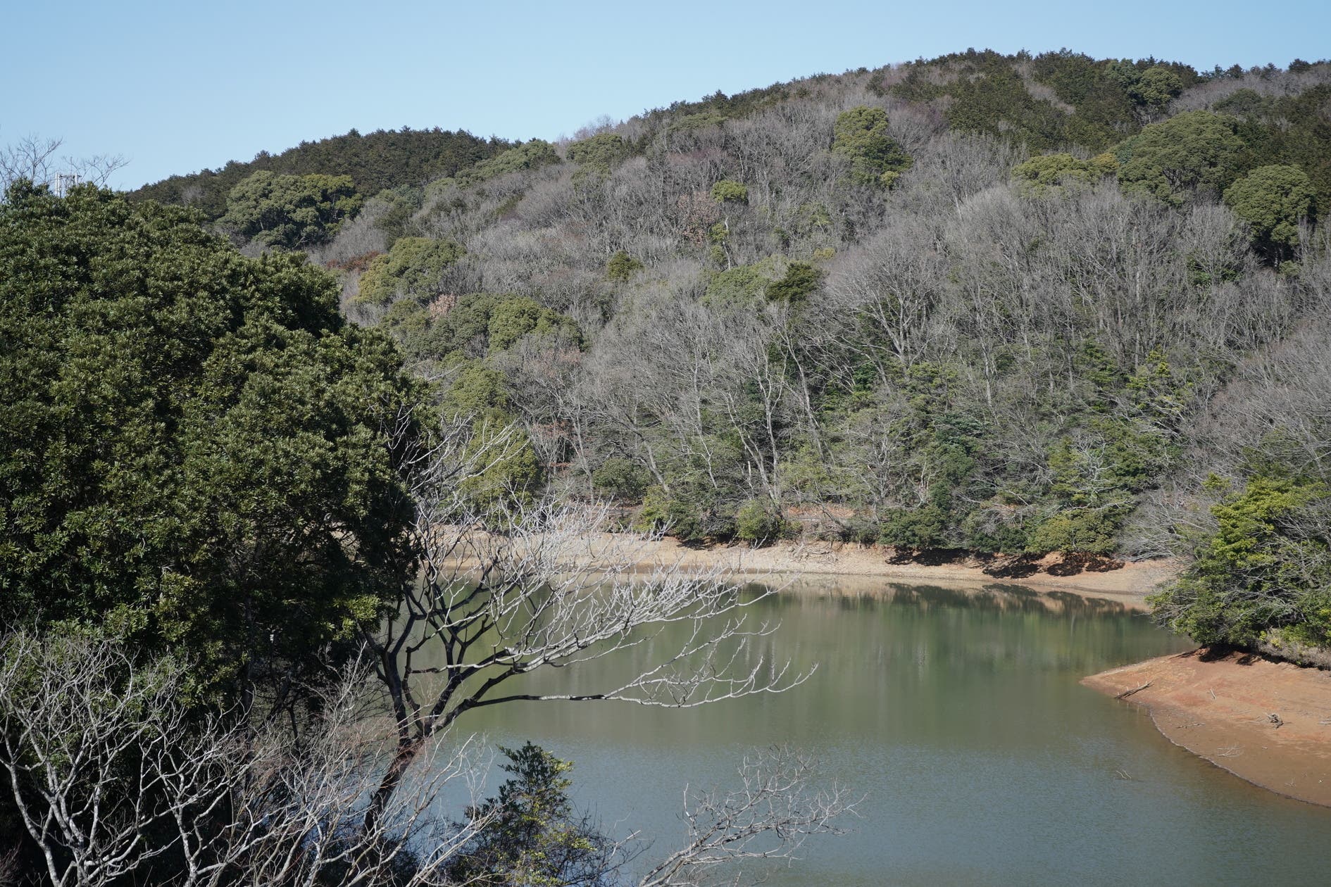 【Fukashigi (フカシギ)】[久山Nayuta内のレンタルスペース]200名収容可能な大型スペース の写真2