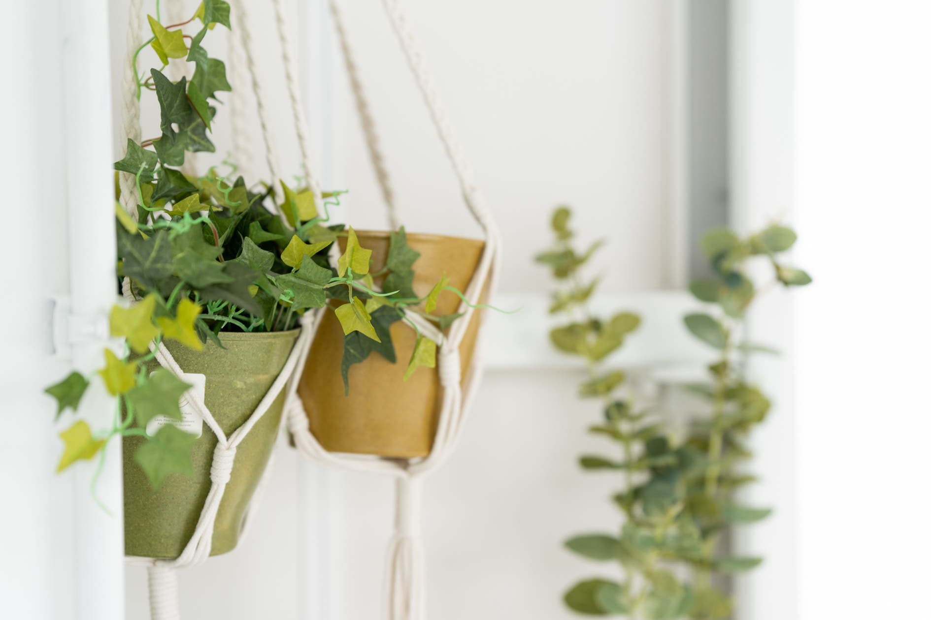 デザイン家具が使える、自然光がたっぷり入る真っ白なレンタルスペースの写真14