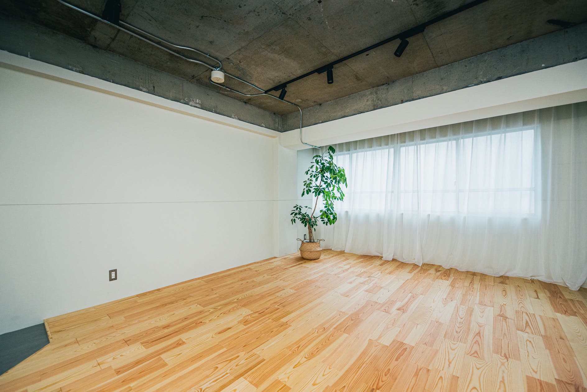【神保町徒歩4分】優しい天然木の床に、グレイッシュホワイトの壁。自然素材に囲まれた心地よい空間でヨガのレッスンを開催しませんか？の写真6