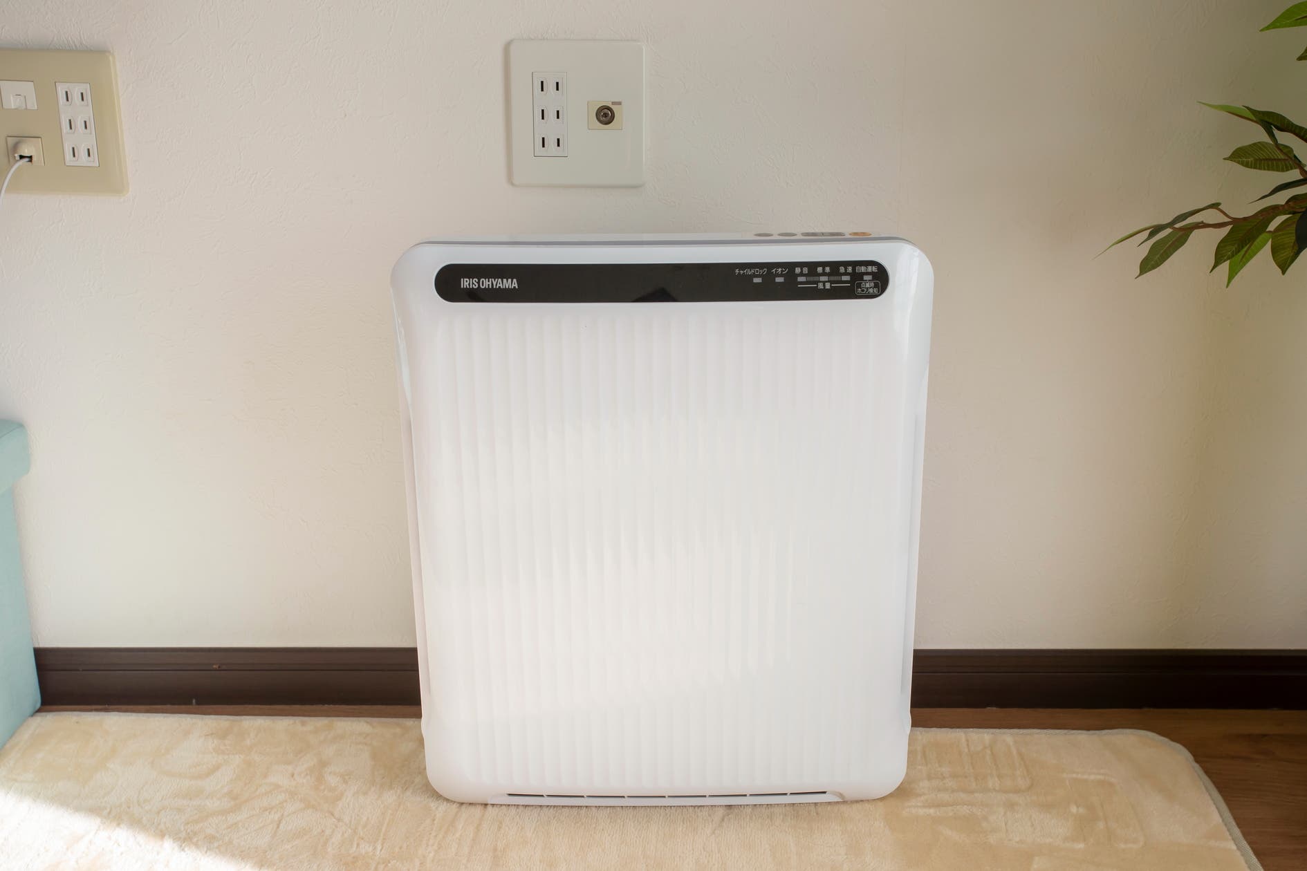 【宮崎駅西口徒歩3分❗】会議・勉強・ワークショップに便利な多目的スペースが誕生🎉 静かなプライベート空間をお探しのあなたへ🌿の写真14