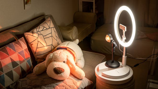 【川崎駅4分🌸】ゴミ捨OP有🚮最大17名着席可✨自然光☀️撮影📸女子会💝誕生日会🎂ママ会🥂子連れOK🧸の写真11