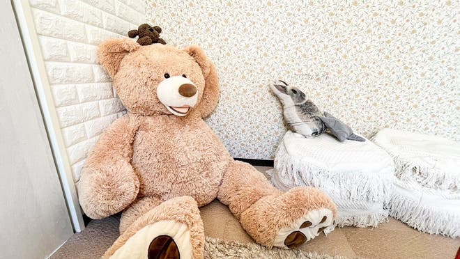 クリスマス🎄&閉店セール💐【ピッコロ町田】駅から徒歩5分|こたつ☃️|FireTVで映画鑑賞🖥|女子会|デート|撮影可能📷の写真25