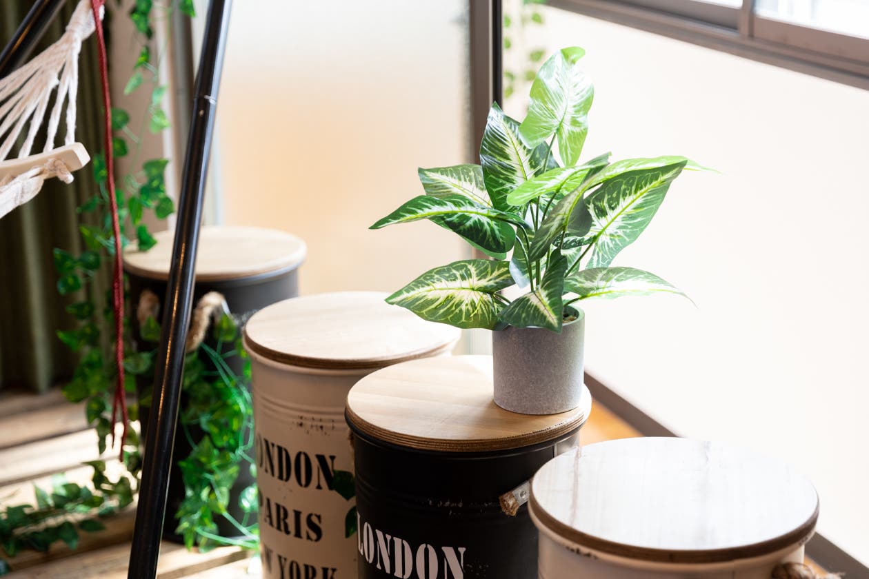 スペモ🌿クリスマス🎄歓送迎会🎊学割👨‍🎓のんびり🌿女子会💖パーティ🎉推し活🌟ゲーム機.353_Oasis鶯谷の写真13