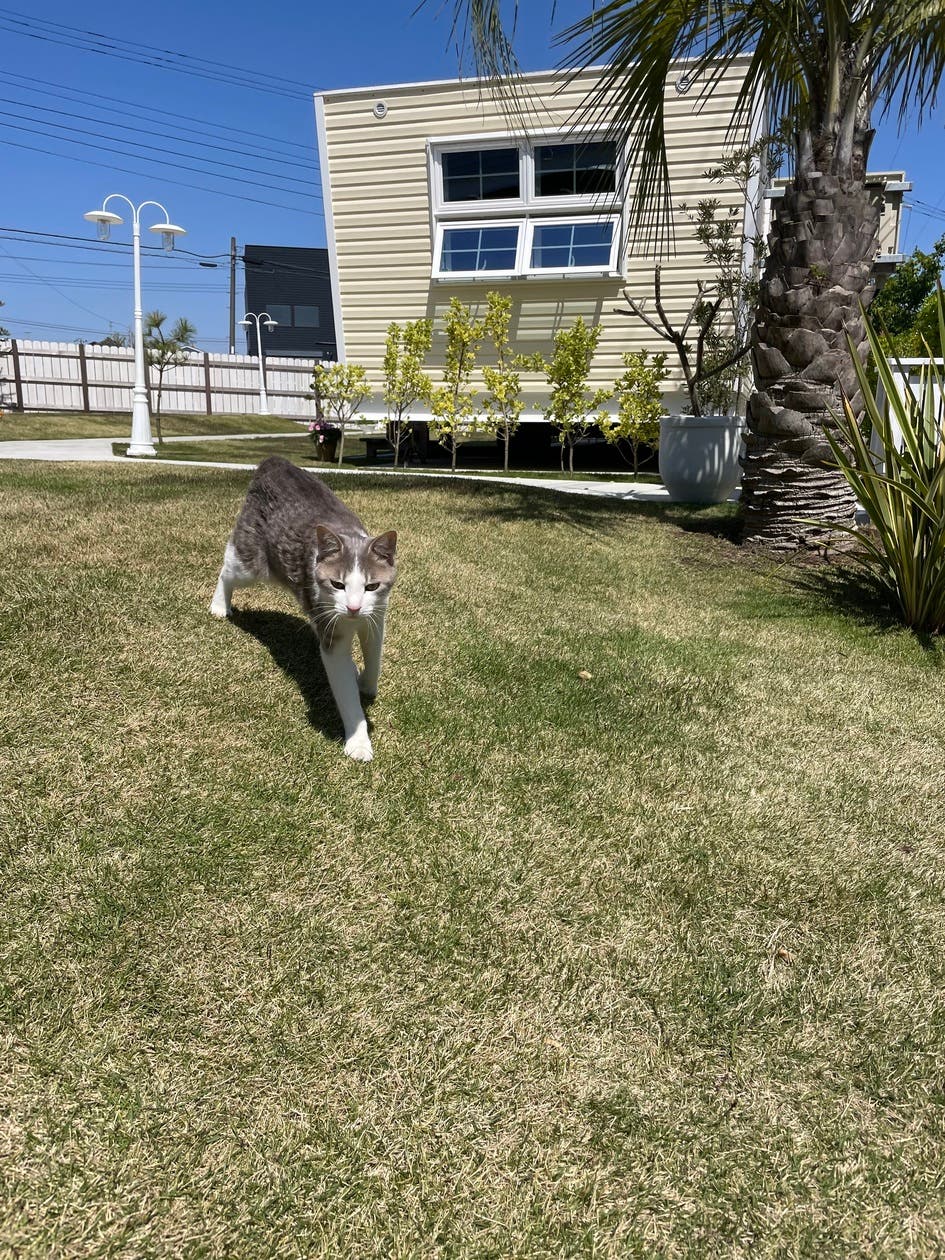 オリジナルモバイルホーム/トレーラーハウスの写真10