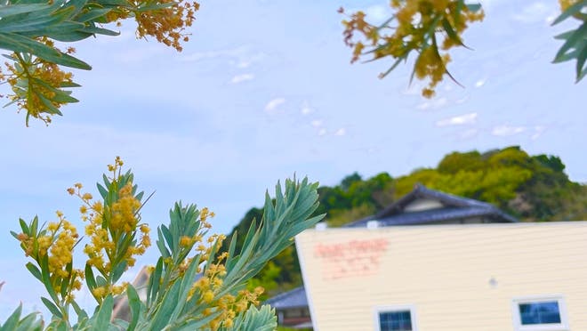 オリジナルモバイルホーム/トレーラーハウスの写真11