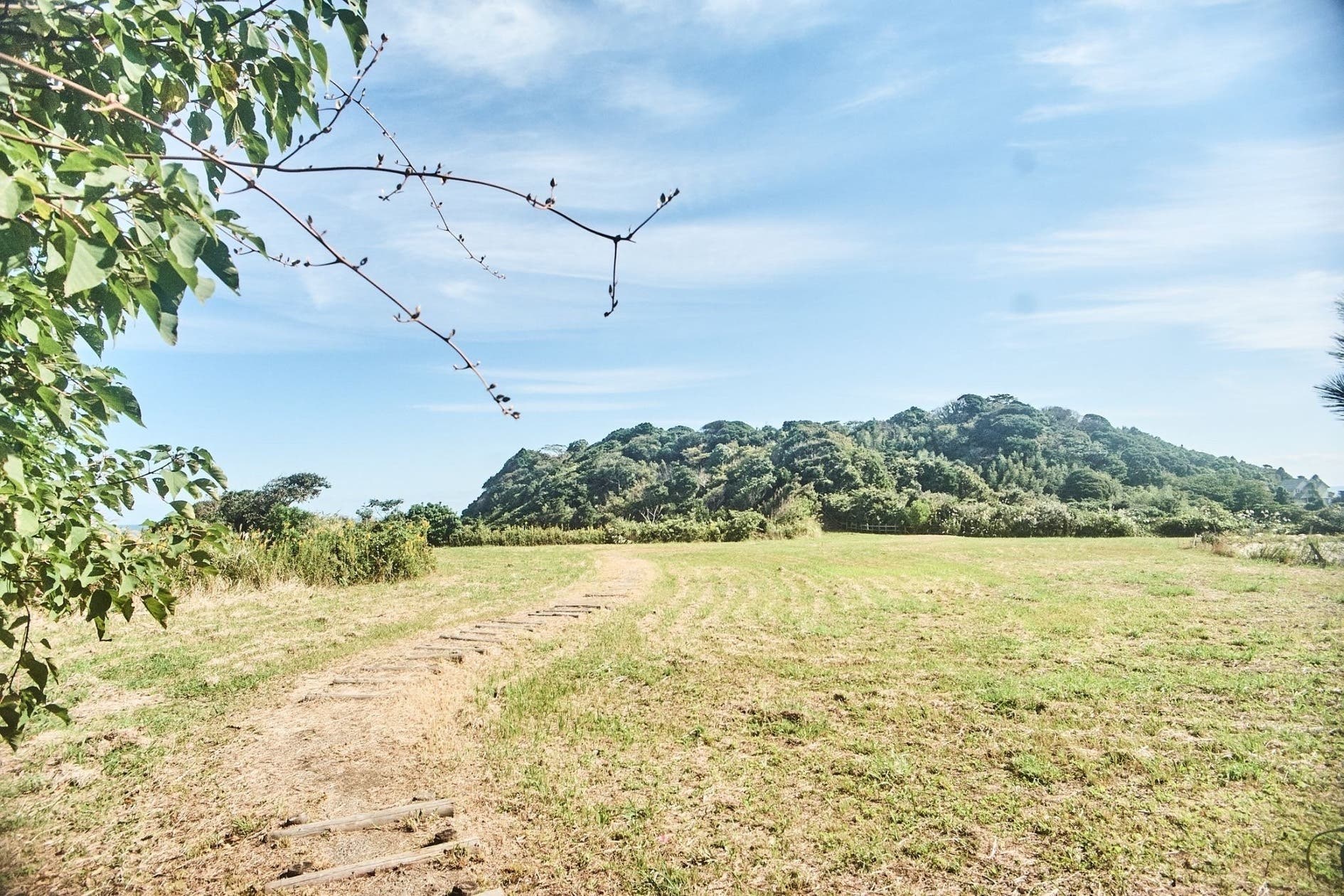 オリジナルモバイルホーム/トレーラーハウスの写真24