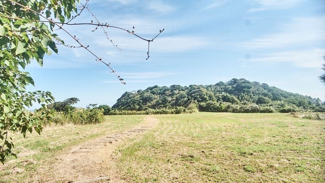 オリジナルモバイルホーム/トレーラーハウスの写真24