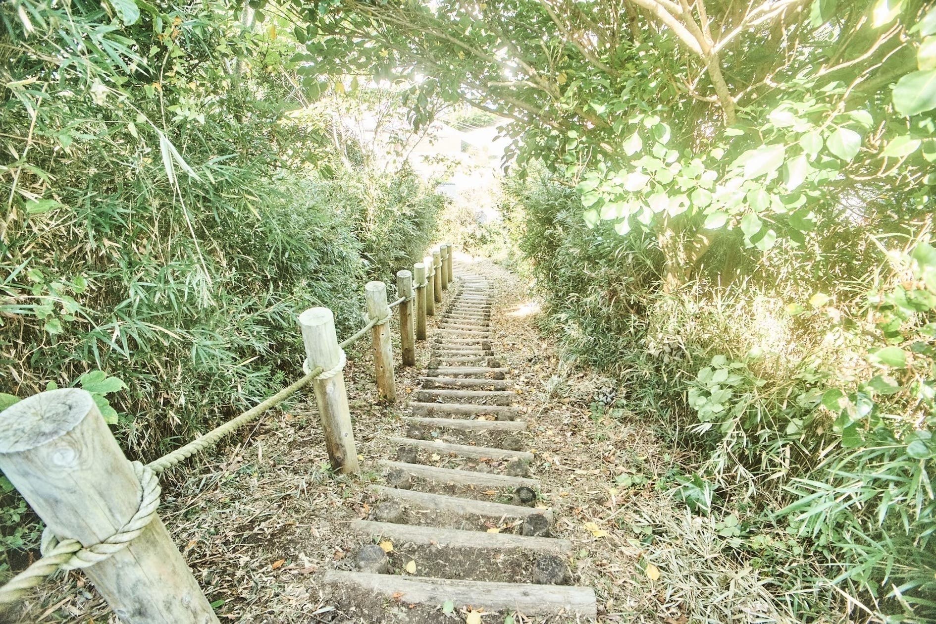 オリジナルモバイルホーム/トレーラーハウスの写真25