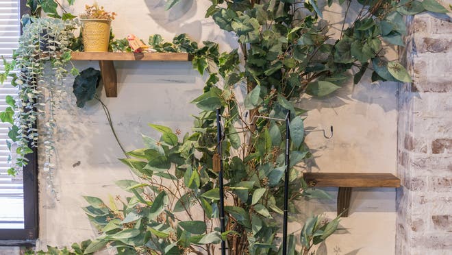 スペモ🏠クリスマス🎄歓送迎会🎊BBQ🍖キャンプ⛺プロジェクター🎥358_KIMAGURE-Camp大塚の写真21