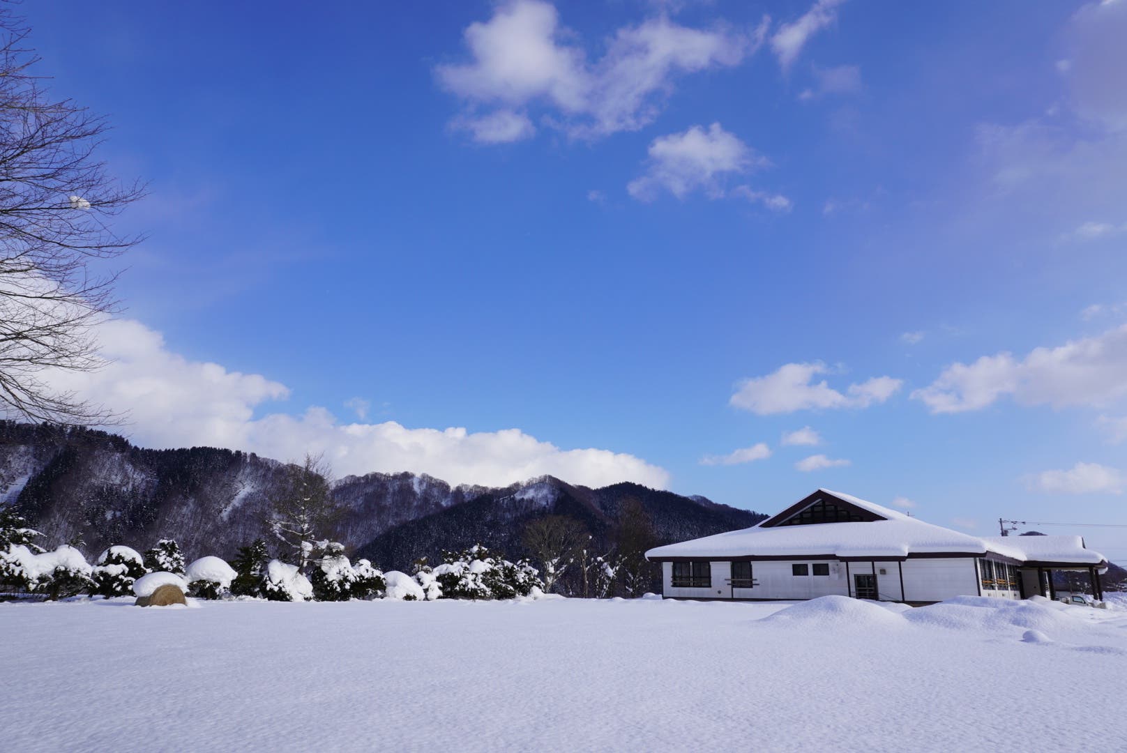 北海道八雲町／牧場地帯に佇む廃校リノベーション施設の写真12