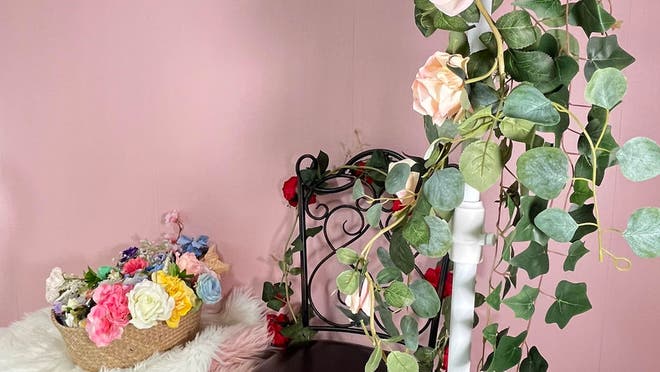 フォトスタジオ・エステサロン🌟エステベッド入れました💛誕生会🎈朝活ヨガでリフレッシュ❣️ペット可の写真10