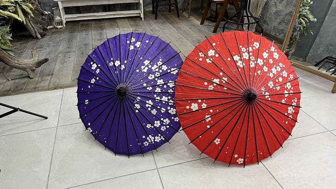 【4m超えドライフラワー造形】本格的撮影スタジオ|漆喰壁|レンガ壁|カーテン装飾|カフェ板|タイル床|アパレル|背景×10の写真21