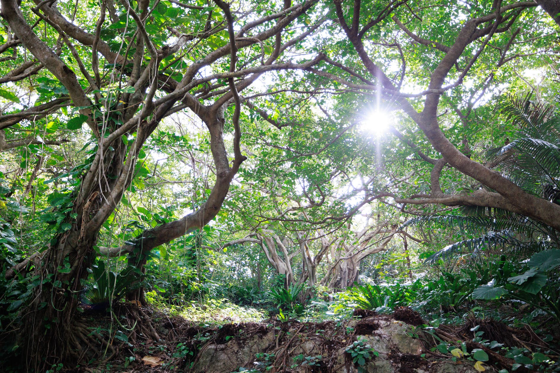 宜野湾にある隠れ家シェアサロンの写真5