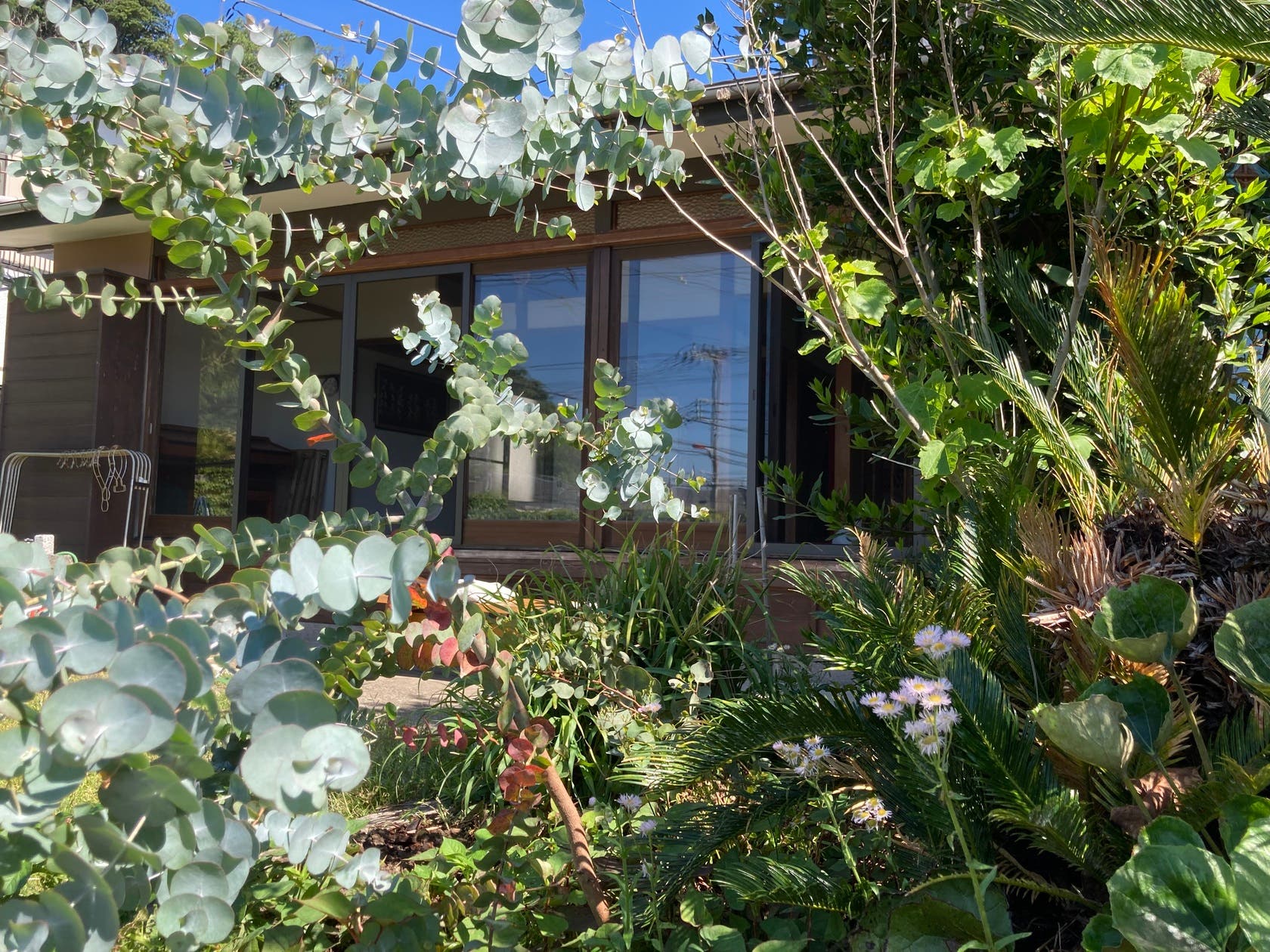 湘南　海近　港街の古民家の写真10