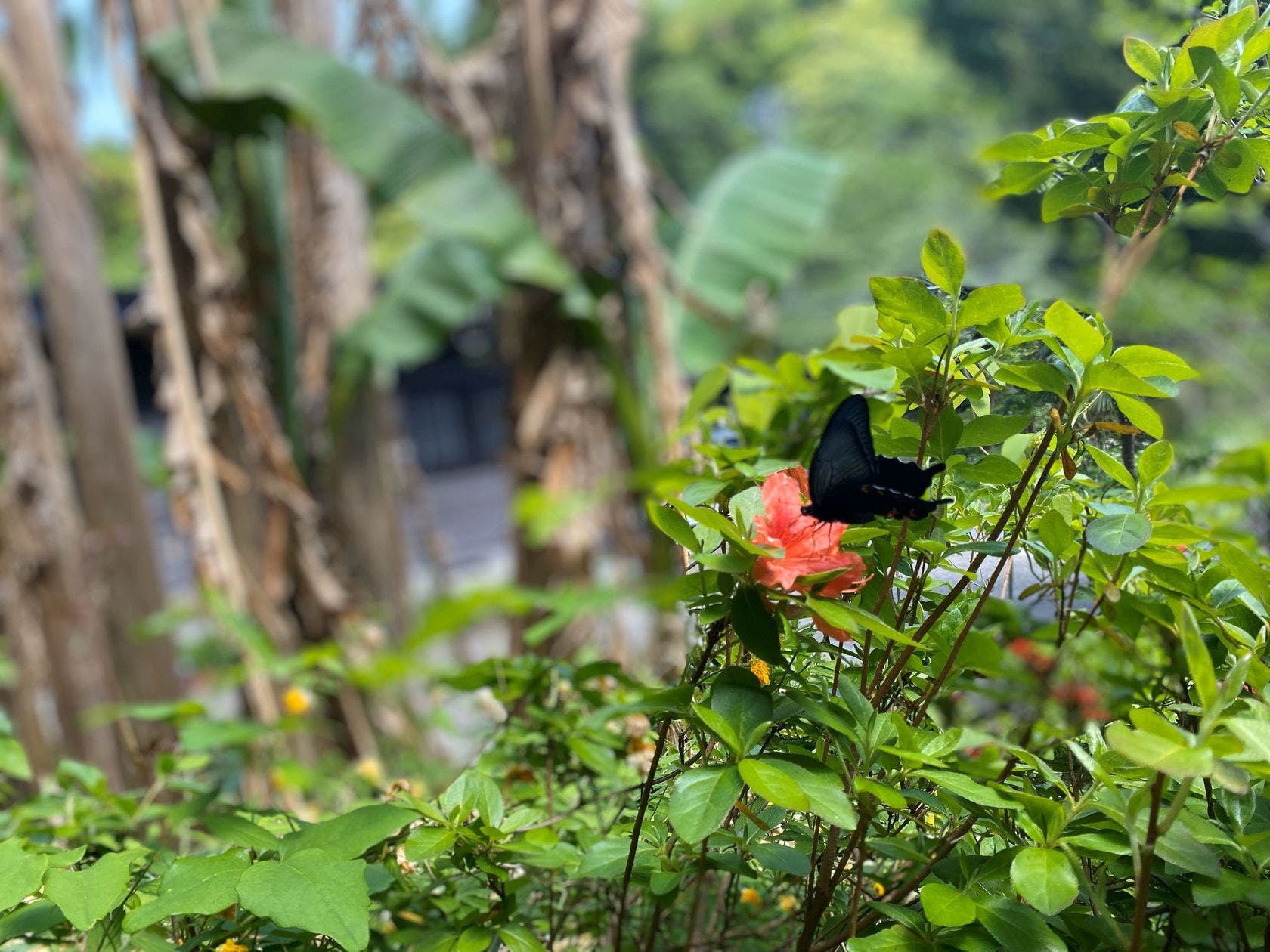 【35畳広々空間を4名～貸切可能】都心から60分で非日常にアクセス◇ワーケーション・会議・ワークショップ◎駐車場無料の写真6