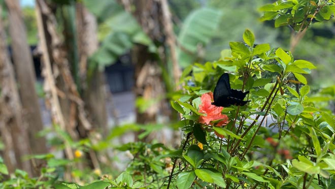 【35畳広々空間を4名~貸切可能】都心から60分で非日常にアクセス◇ワーケーション・会議・ワークショップ◎駐車場無料の写真6