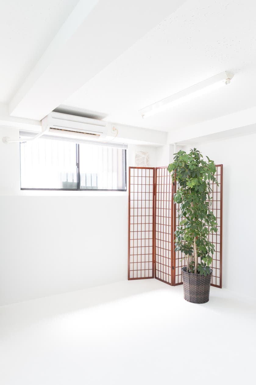 上野芝駅から徒歩3分の駅近！白ホリのフォトスタジオ。写真撮影/YouTube撮影にどうぞ！の写真9