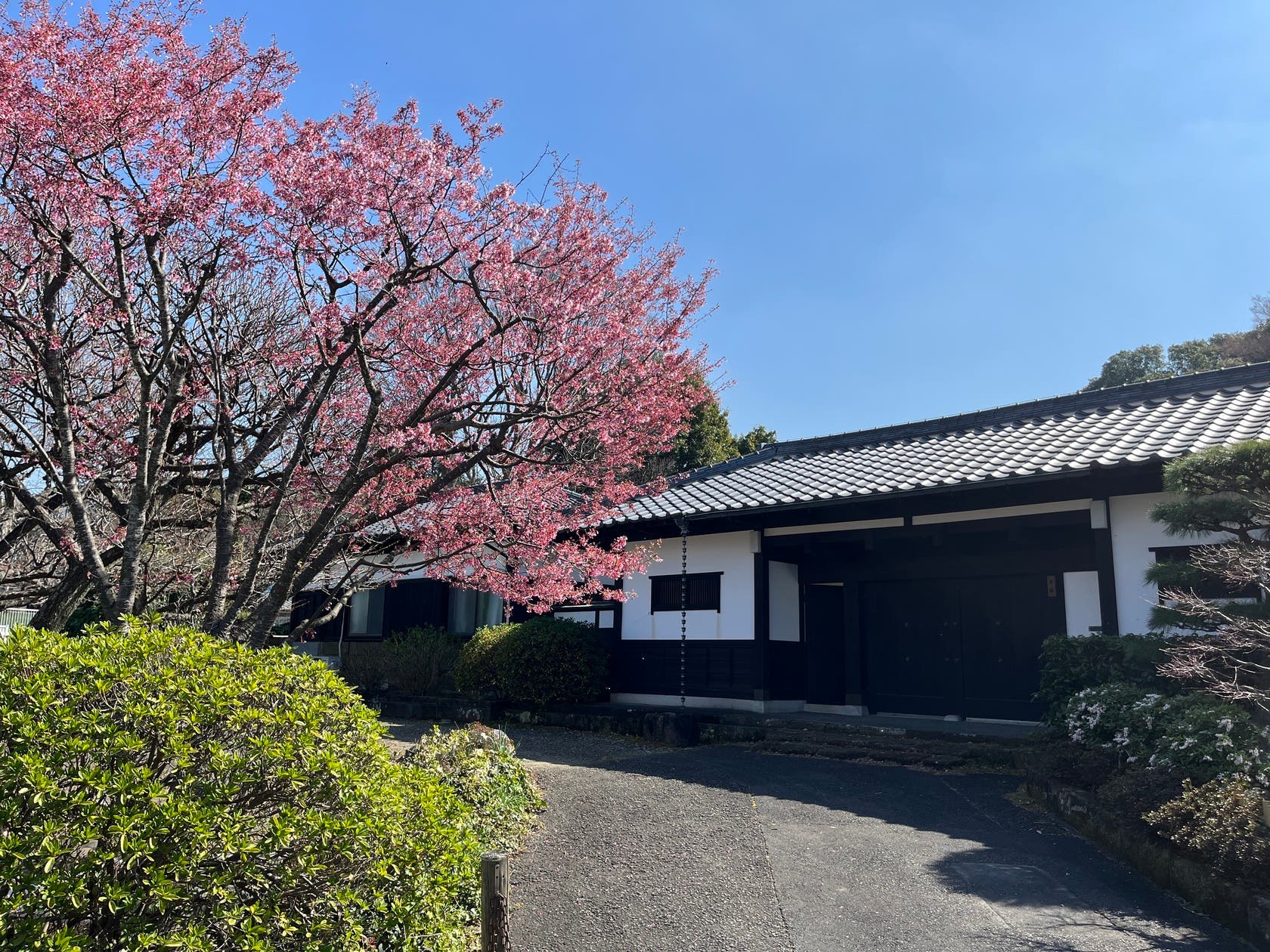 【甘糟屋敷】オフサイトミーティング/企業研修/撮影/ウェディング/1,000坪の敷地を貸切の写真15