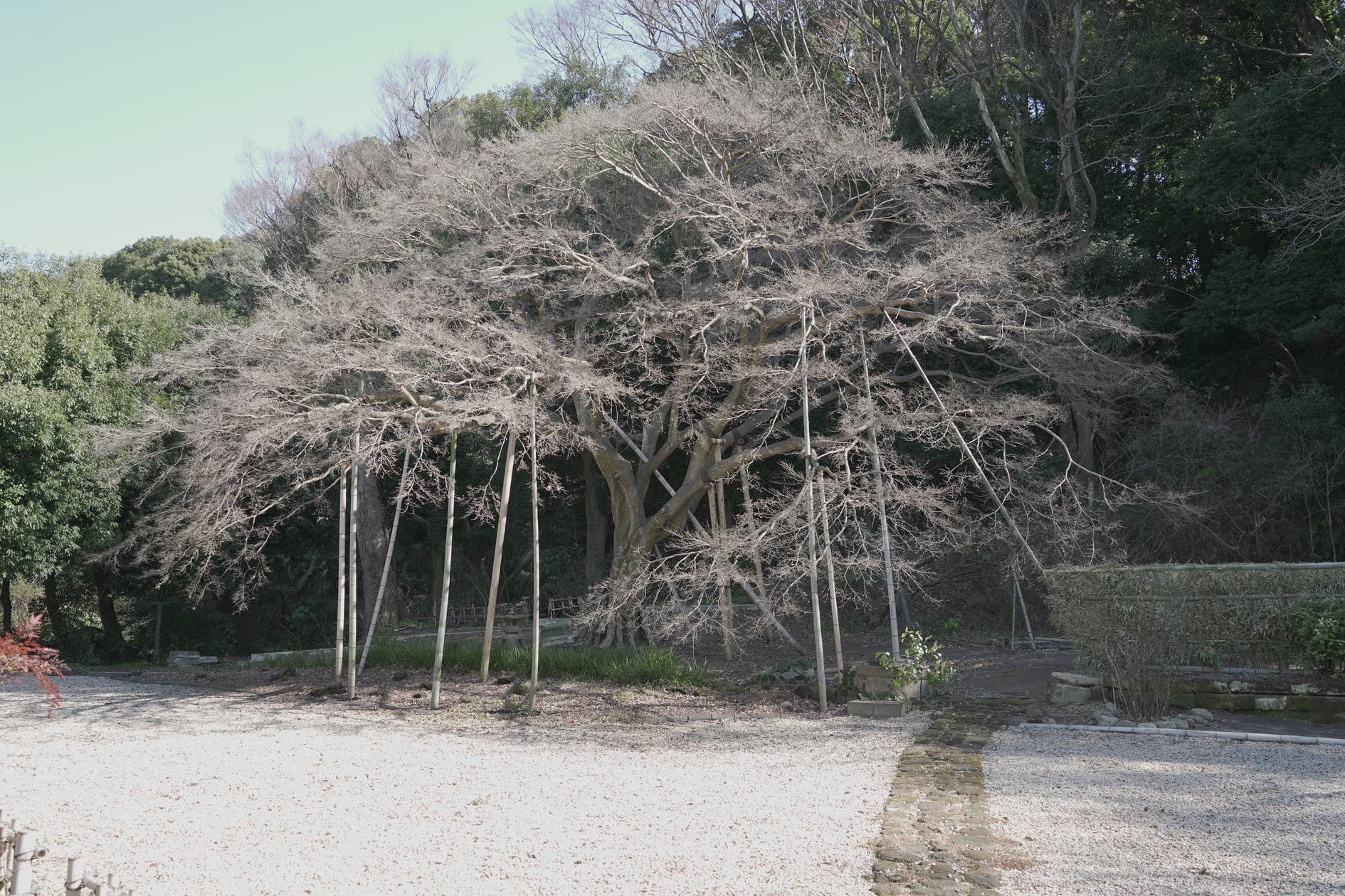 【甘糟屋敷】オフサイトミーティング/企業研修/撮影/ウェディング/1,000坪の敷地を貸切の写真19