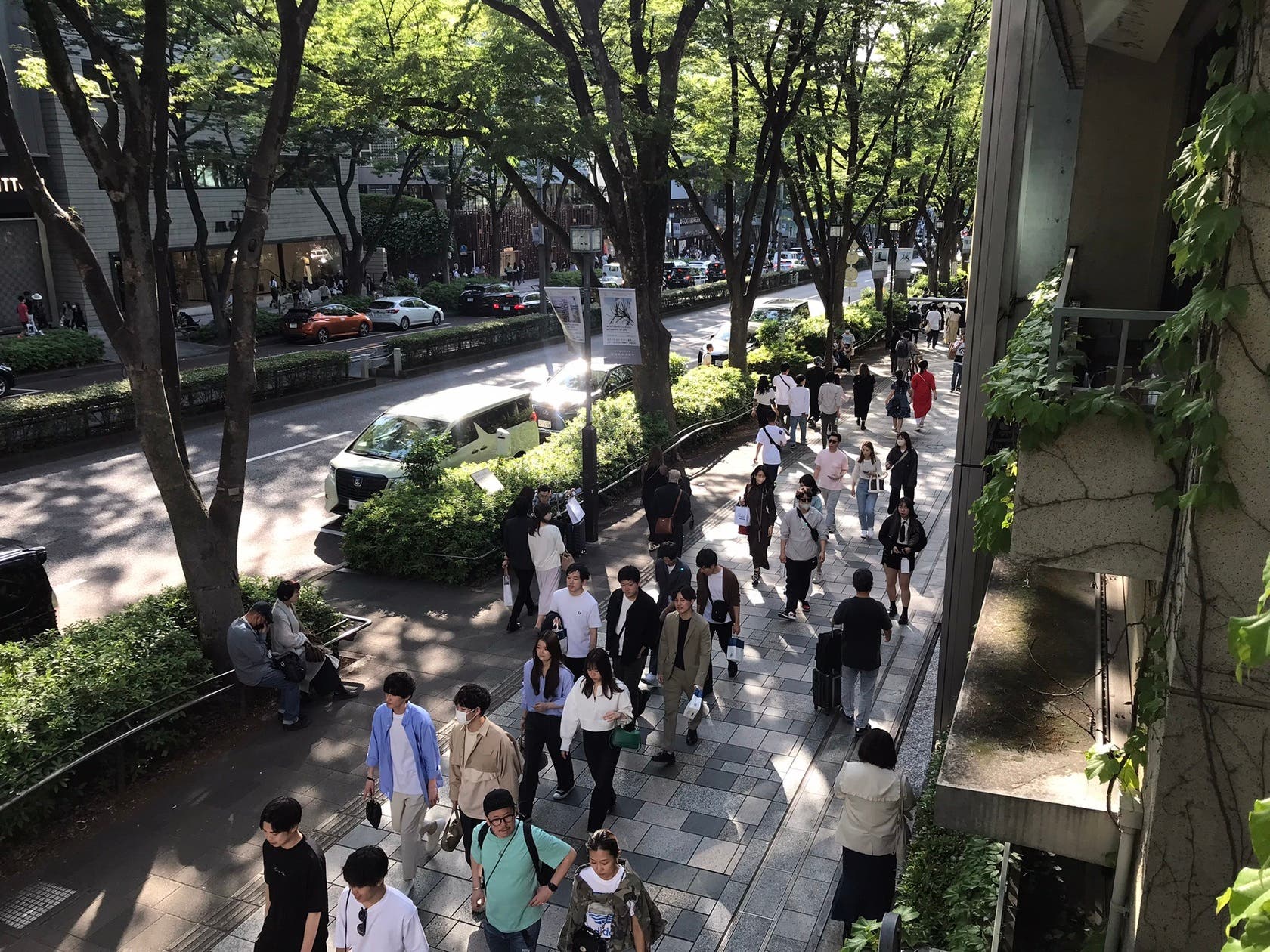 表参道ヒルズ内31㎡【試着室・天吊ハンガーパイプ有】展示会/ポップアップ/イベント対応。白基調&窓2面の並木道に面する開放的空間の写真30