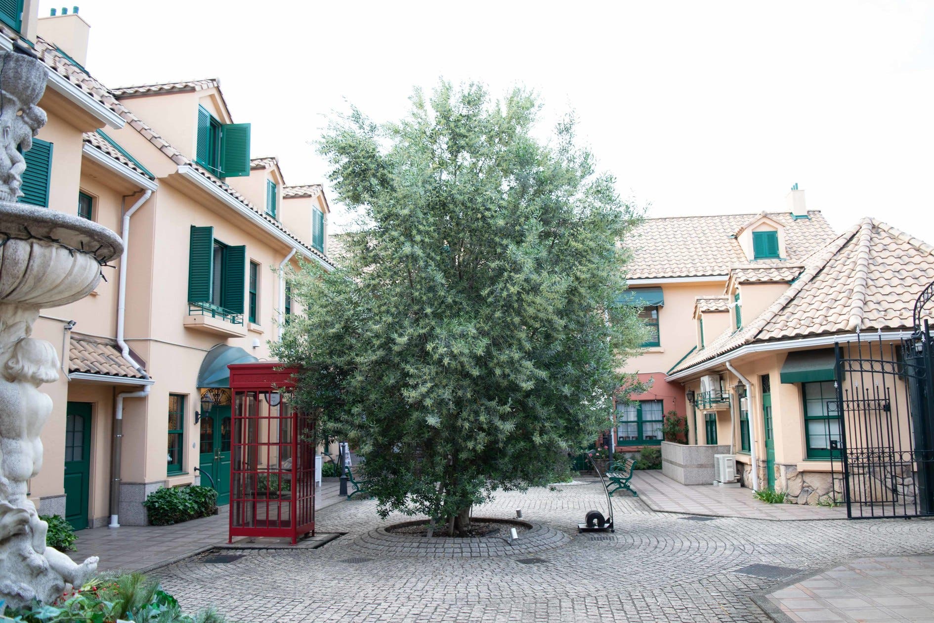 屋外撮影プランの画像1