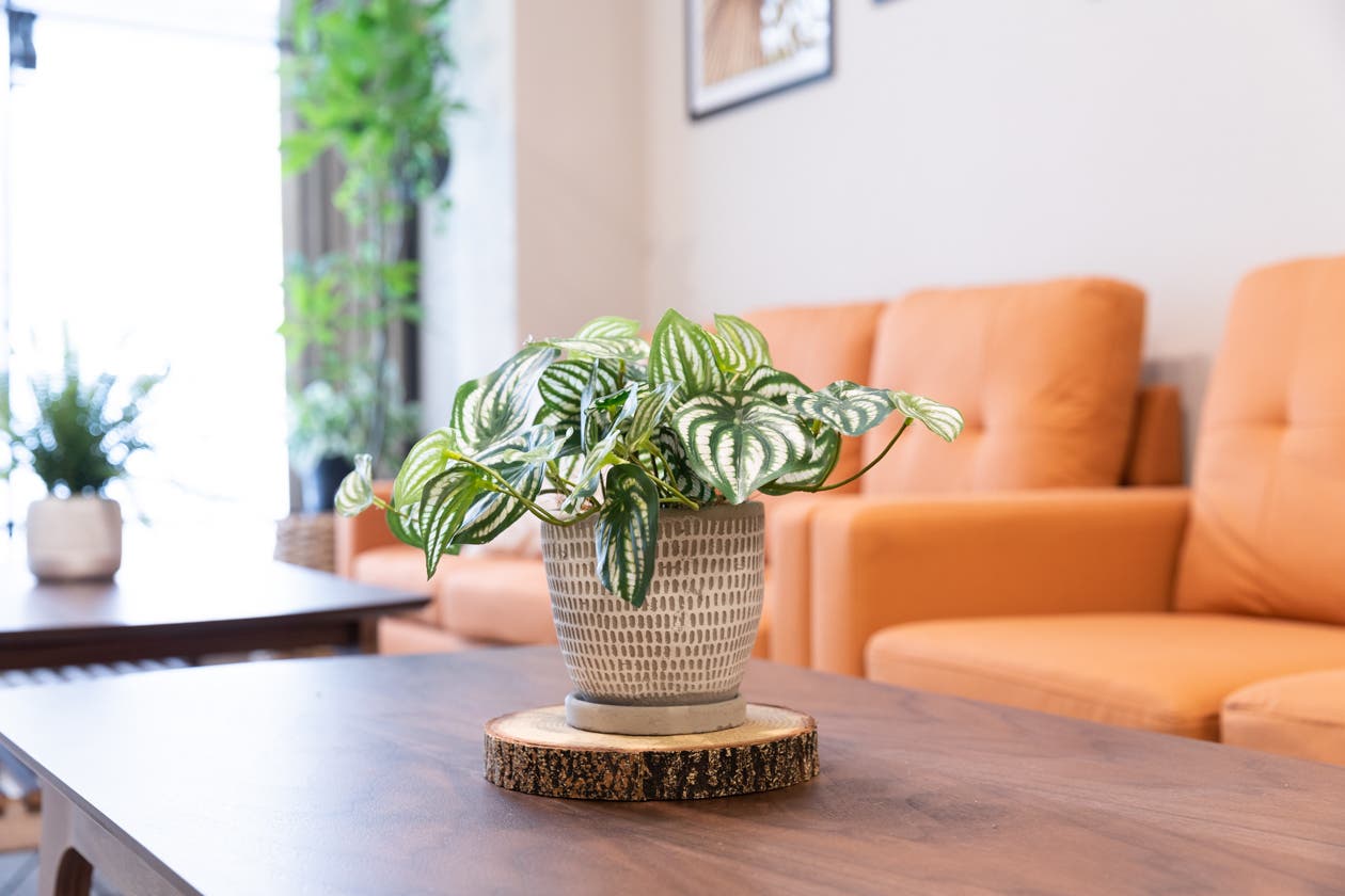 ボドゲ秋葉原6号店🌟ボードゲーム６０種類🎲TVゲーム完備🎮大画面TV📺撮影スタジオ📷光回線⚡動画向きの写真16