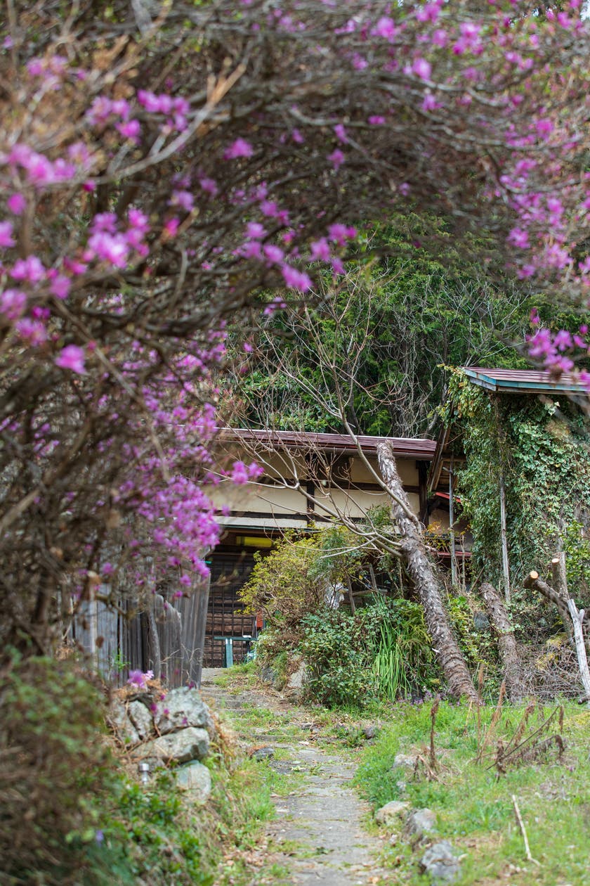 珍しいボロボロな和物廃墟で貸切撮影。テレビやMVロケで人気です。の写真7